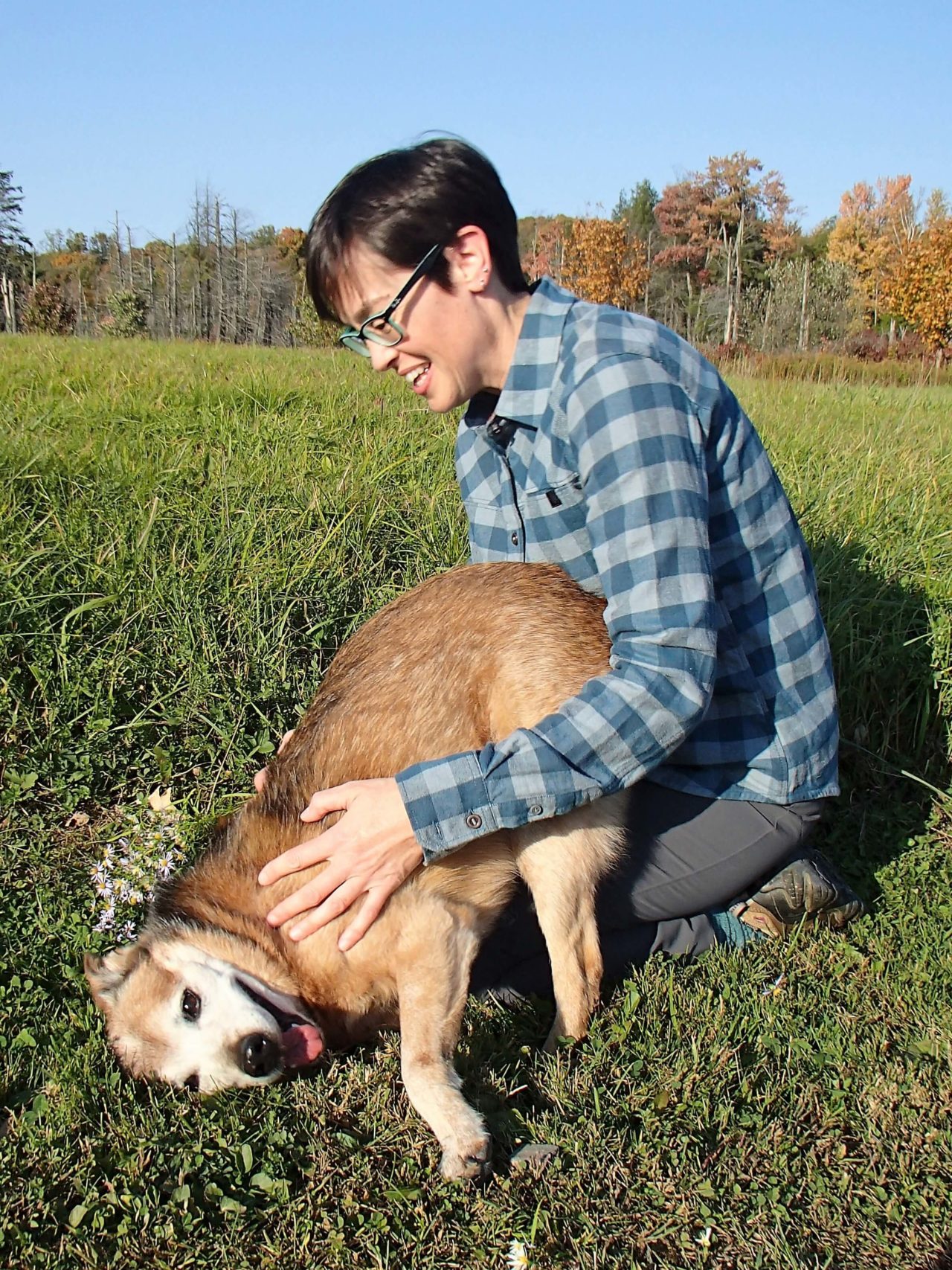 Chester County, PA 19320 Veterinarians - The Helpful Heeler